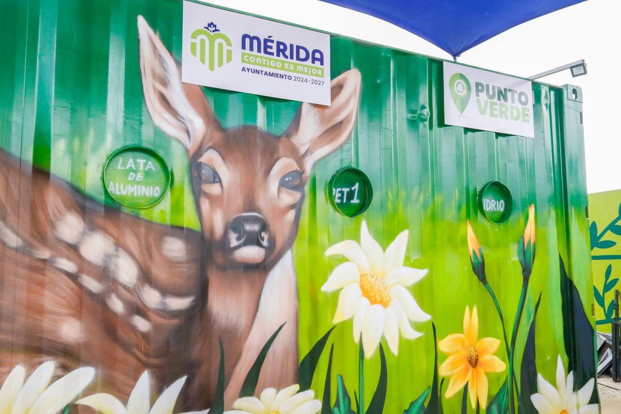 Ya son 14 Mega Puntos Verdes en Mérida - Líneas Emergentes