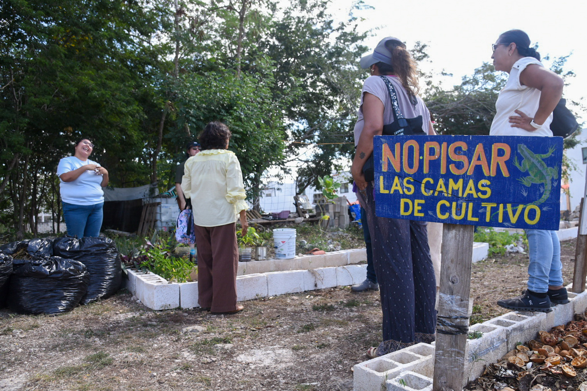 Predio Juan El Tolok sigue siendo del Ayuntamiento; analizan petición ...